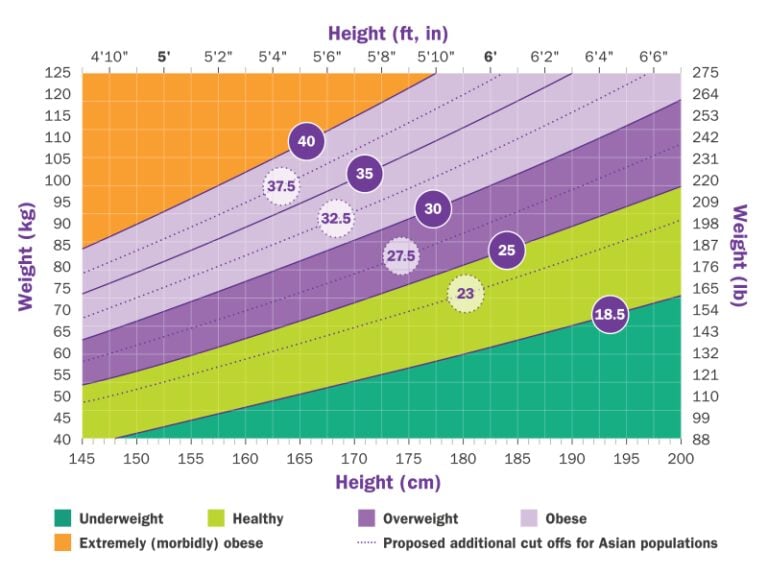 BMI Calculator | World Cancer Research Fund